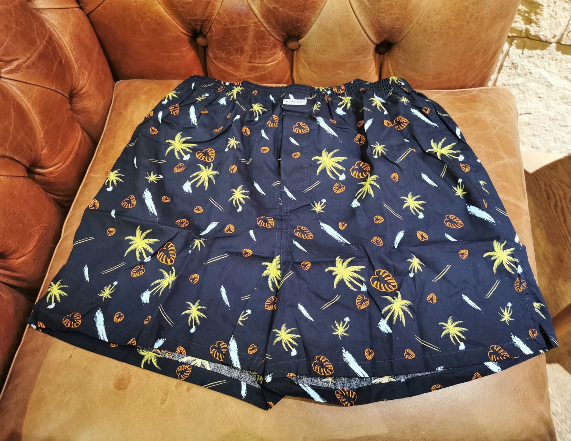 Hanford Mikael Daez Collection: A Fashionable Line of Men’s Underwear ...