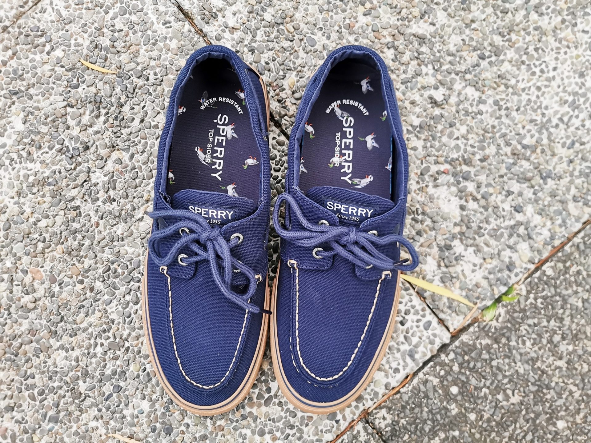 Sperry Top-Sider Bahama Storm Navy is the Boat Shoe You Want this 2020 ...